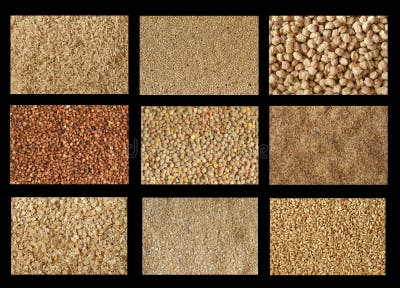 Grains textures stock photo. Image of oats, seeds, close - 13028388