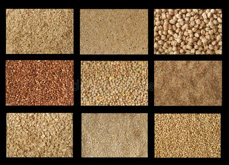 Grains textures stock photo. Image of oats, seeds, close - 13028388