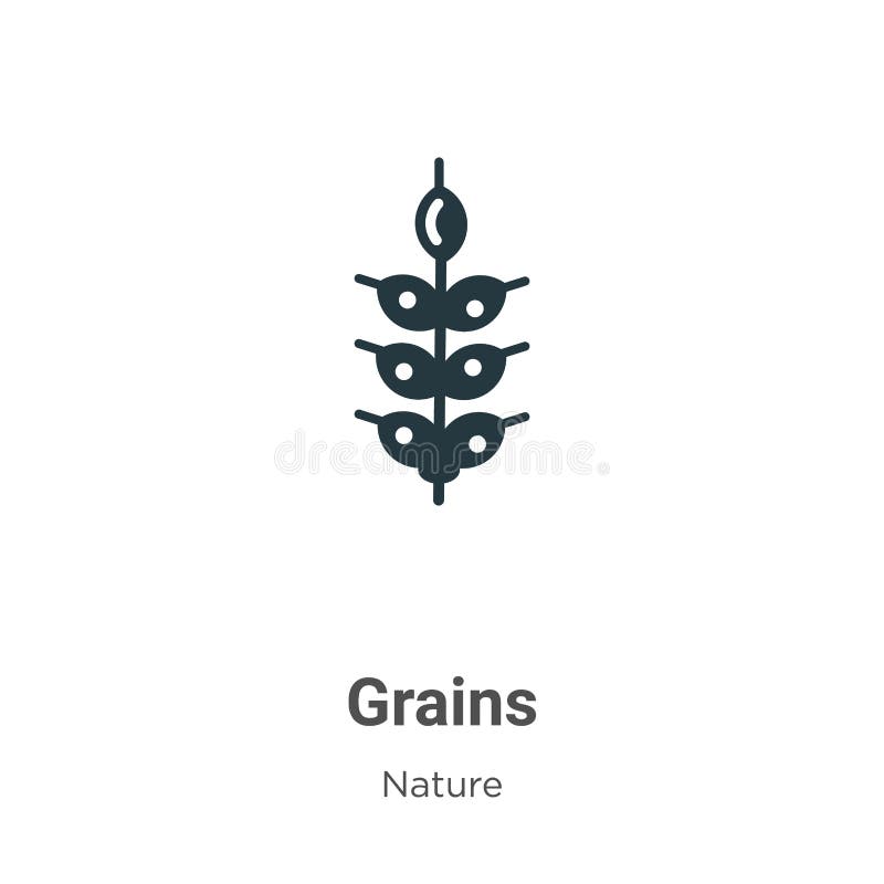 Grains Vector Icon on White Background. Flat Vector Grains Icon Symbol ...