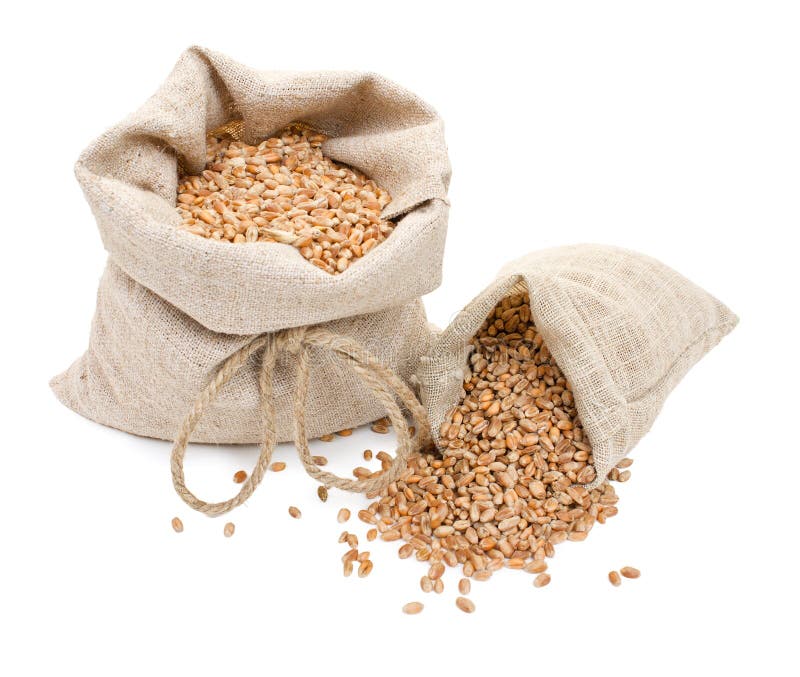 Grains of Wheat in Decorative Sacks Isolated on White Background Stock ...