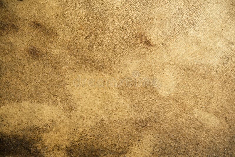 Grainy Texture of Old Leather Stock Photo - Image of hide, random: 27961500