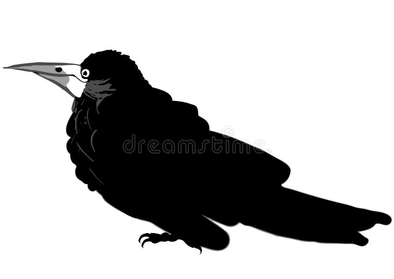 Grajo que se sienta ilustración del vector. Ilustración de mirlo - 23459297