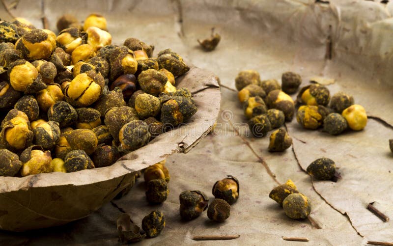 Gram stock image. Image of nature, baked, fiber, bengal - 104360143