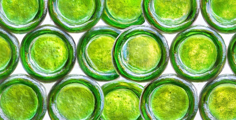 Gram-negative Acetobacter Bacteria Facilitate the Conversion of Ethanol ...