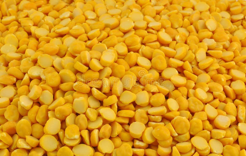 Gram pulse stock image. Image of gram, legume, husked - 35623465