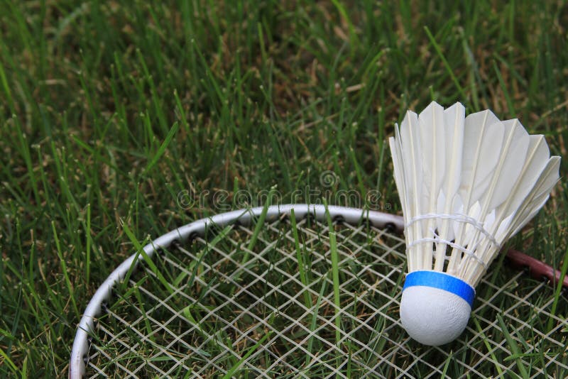 Grama De Birdie Shuttlecock Racket on Green Do Badminton Imagem de ...