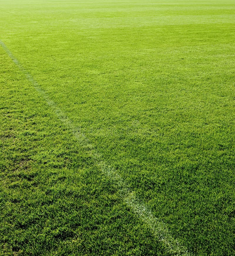 Grama verde fresca foto de stock. Imagem de brilhante - 4171070