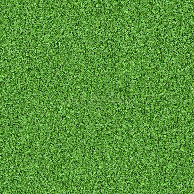 Grama Verde Nova Textura Sem Emenda De Tileable Foto de Stock - Imagem ...