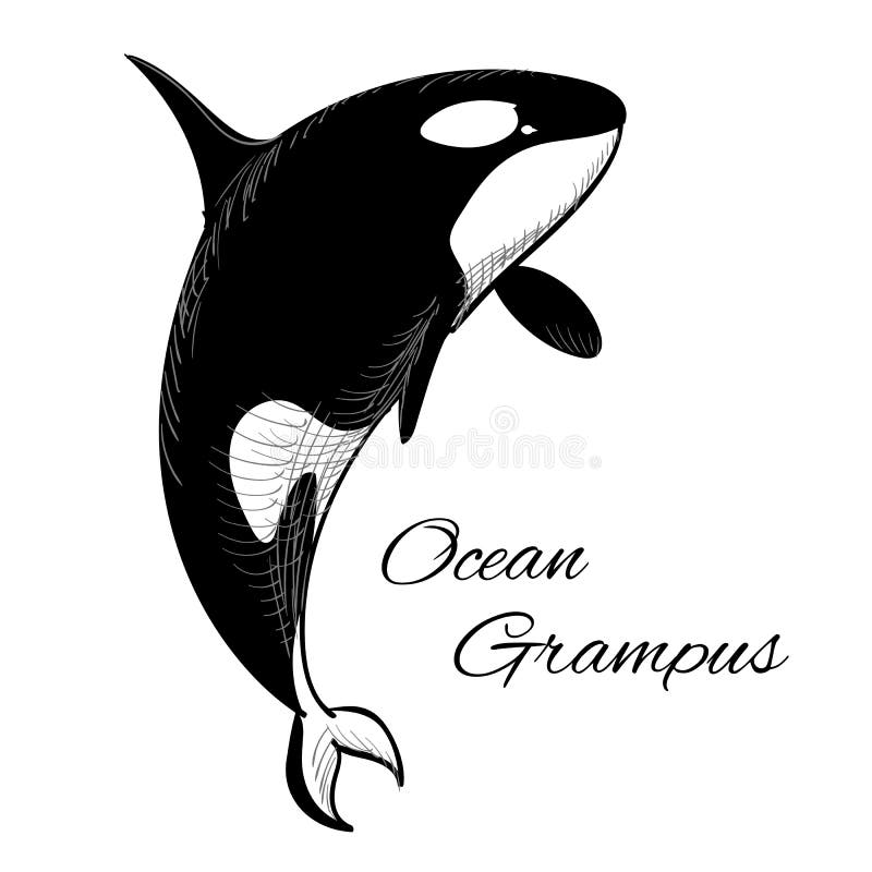 Grampus Icon, Cartoon Style Stock Vector - Illustration of animal ...