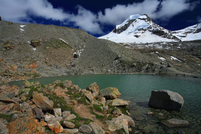 Gran Paradiso stock image. Image of bloom, delight, pleasant - 3528203