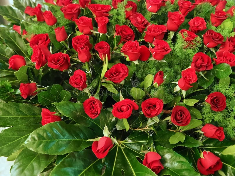 Gran Ramo De Flores Con Rosas Rojas Foto de archivo - Imagen de aroma ...