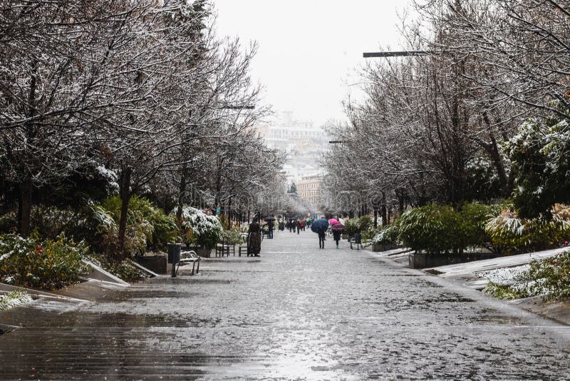 Granada Boulevar during Snow Fall Down. Stock Photo - Image of ...