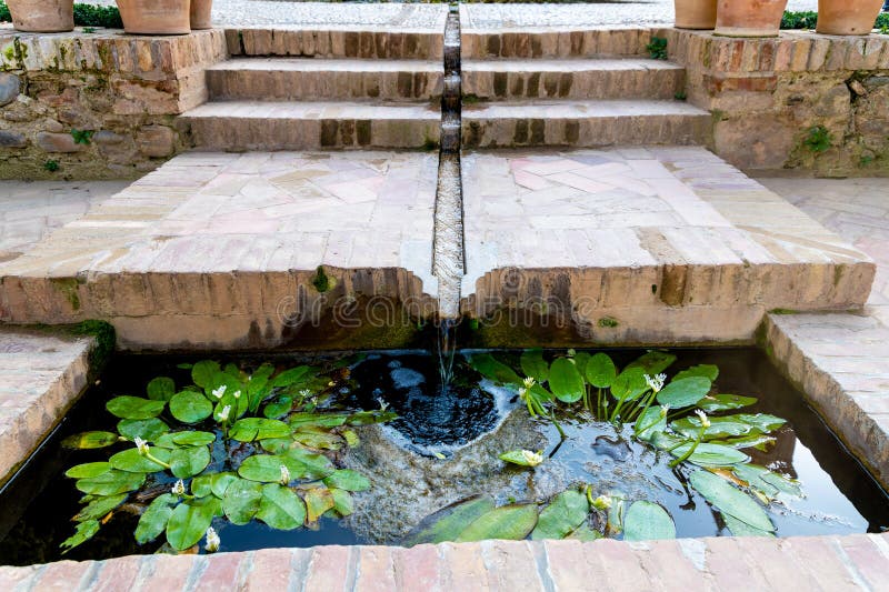 Shallow Fountain with Flowering Aquatic Plants in the Alhambra ...