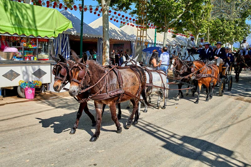 Mules Pulling Wagon with Passengers at Festival Editorial Image - Image ...