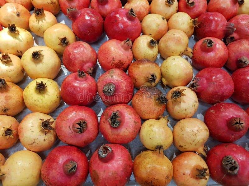 Granadas bicolores imagen de archivo. Imagen de granada - 101656149