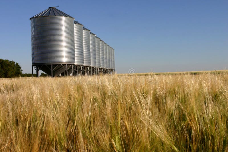 Granaries near a field stock image. Image of storage, bottom - 3157041