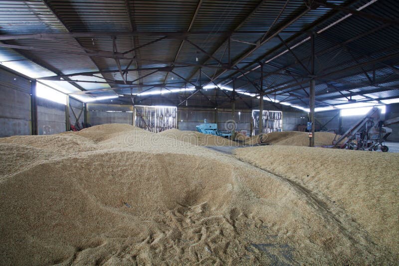 Granary stock image. Image of harvest, buildings, portugal - 18926731
