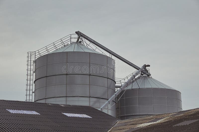 Granary on a Farm in Foggy Denmark Stock Photo - Image of ranch ...
