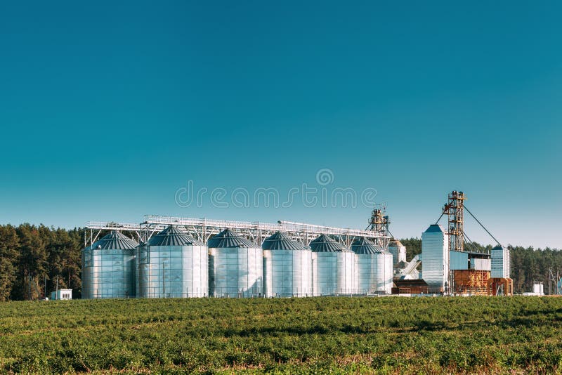 Granary, Grain-drying Complex, Commercial Grain or Seed Silos in Stock ...