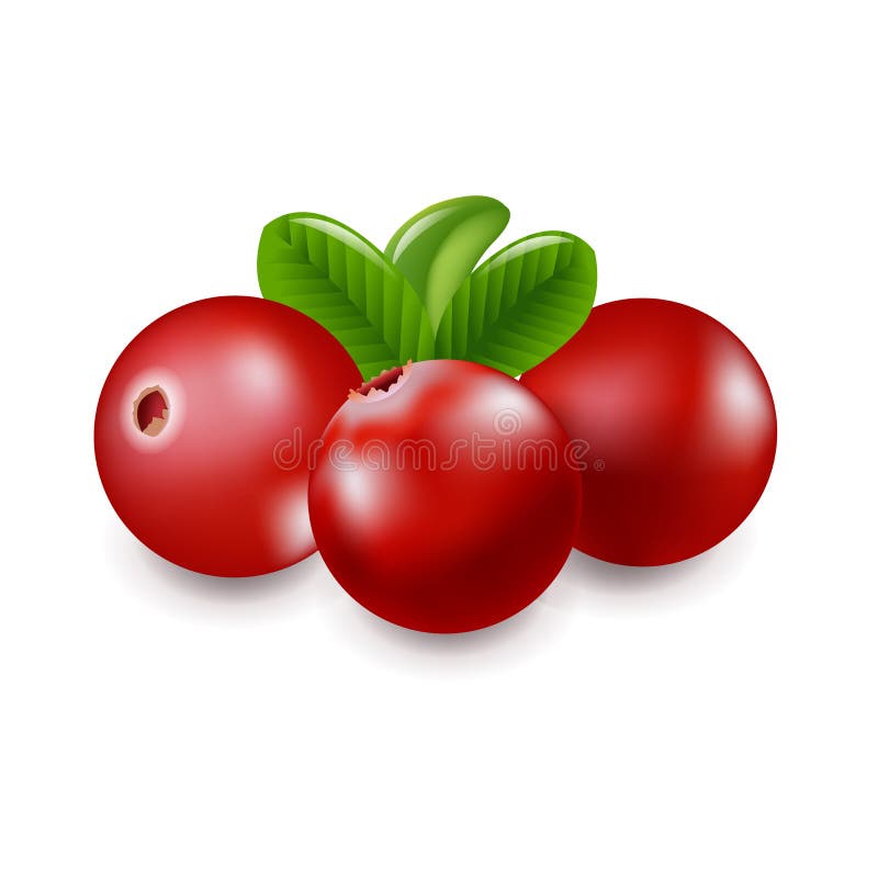 Farmacia Stock Illustrations – 72 Farmacia Stock Illustrations, Vectors ...