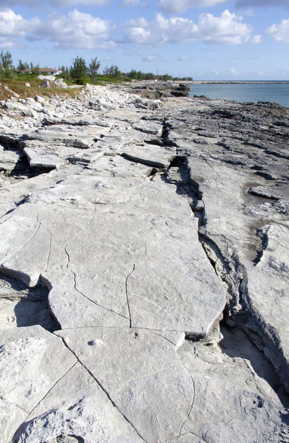 Grand Bahama Island Breaking Coastline Stock Photo - Image of green ...