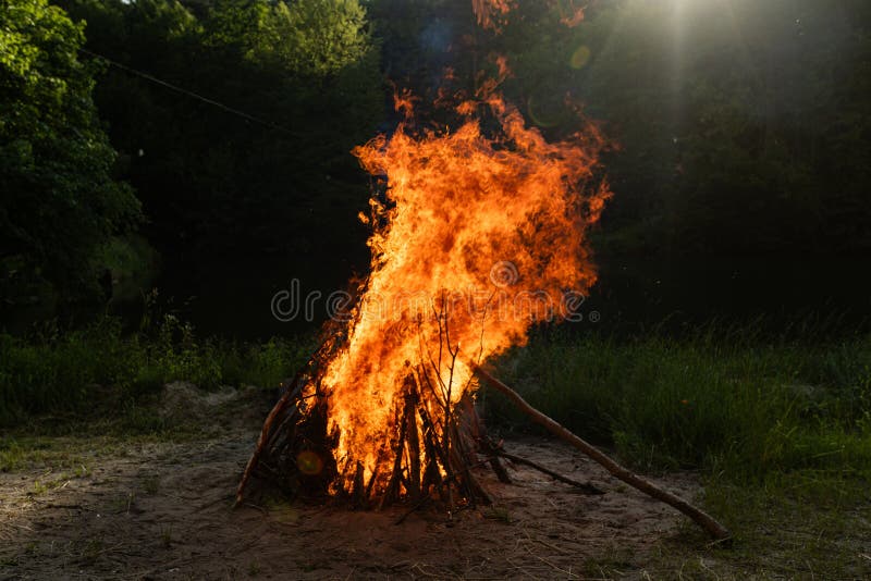 Grand Campfire, Daytime Wilderness Stock Photo - Image of flames ...