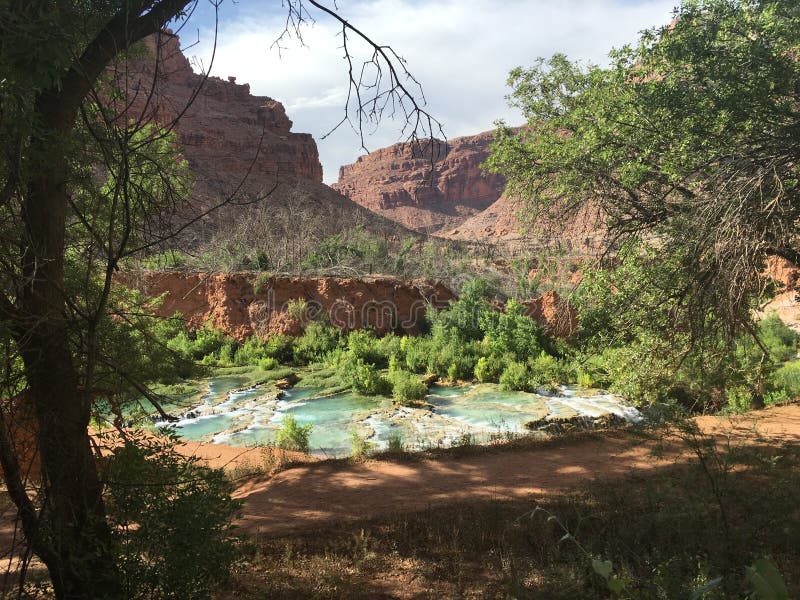 Grand Canyon Greenery stock image. Image of rock, canyon - 85568323