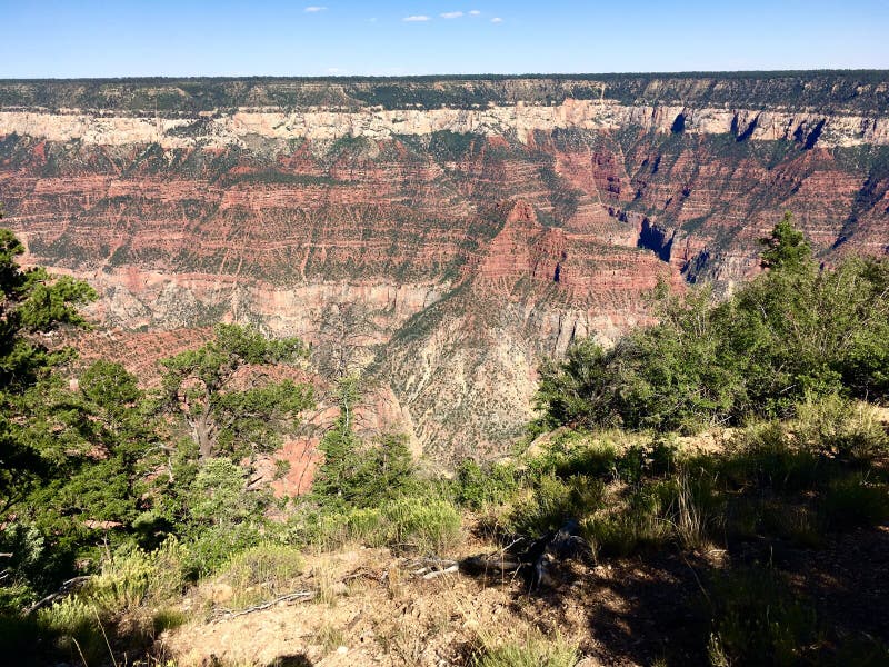 At Grand Canyon North Rim stock photo. Image of grand - 190694592