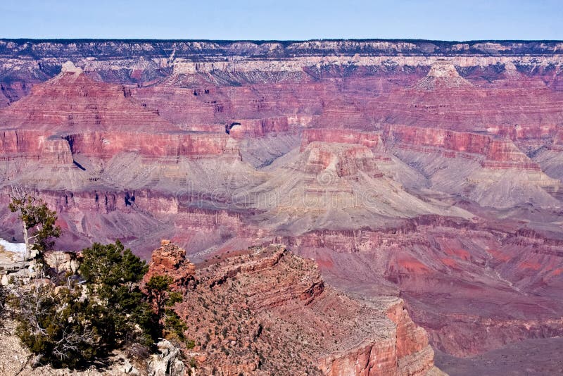 Grand Canyon Ridge stock image. Image of natural, trees - 26869971