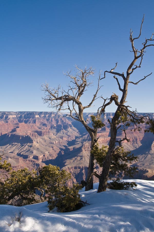 Grand Canyon snow dusting stock photo. Image of rugged - 23972408