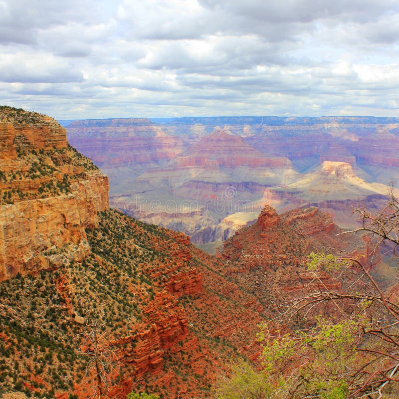 Grand Canyon. USA, Arizona. Panoramic Great View Stock Image - Image of ...