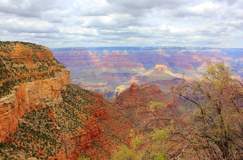Grand Canyon. USA, Arizona. Panoramic Great View Stock Photo - Image of ...