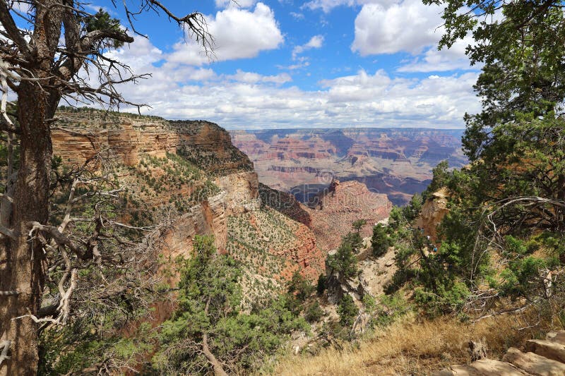 Grand Canyon View with Trees and Colorful Rock Formations Stock Photo ...