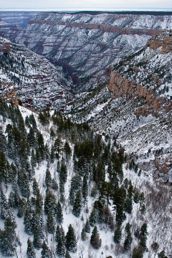 River in Black Canyon of the Gunnison Park, CO Stock Photo - Image of ...