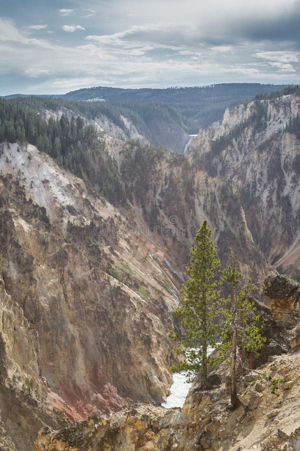 The Grand Canyon of Yellowstone Stock Photo - Image of canyon, flow ...