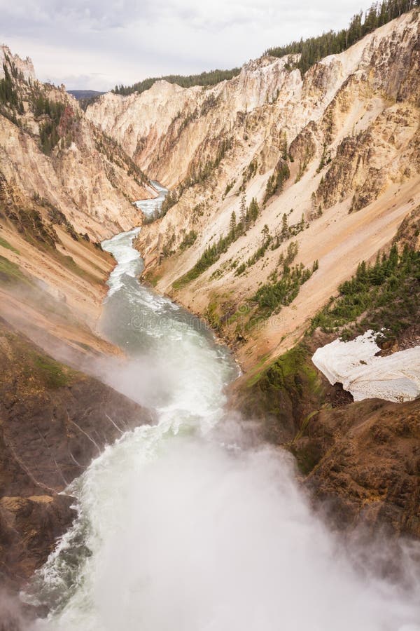 The Grand Canyon of Yellowstone Stock Image - Image of forest, color ...