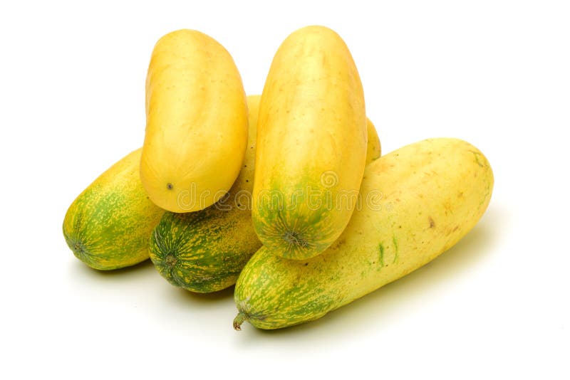 Grand concombre jaune, photo stock. Image du blanc, réflexion - 132892098