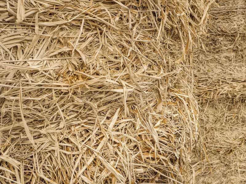 Texture De Paille, Fond, Travail De Ferme Image stock - Image du ...