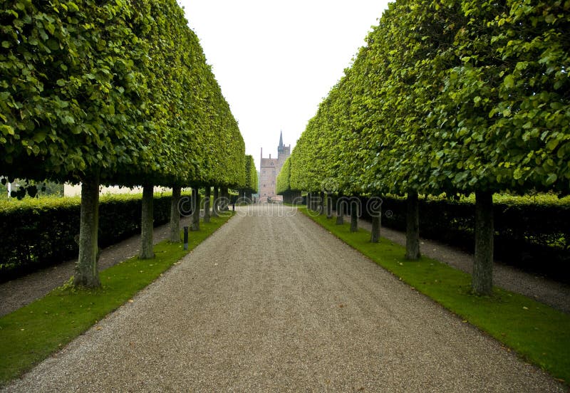 Grand hedge lined driveway stock photo. Image of exterior - 7780854