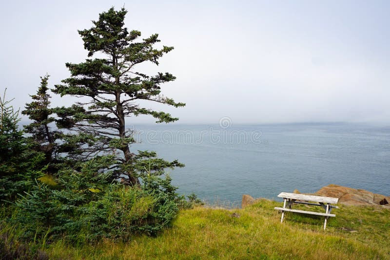 Grand Manan Island S Rugged Coast with a Weathered Picnic Table in the ...