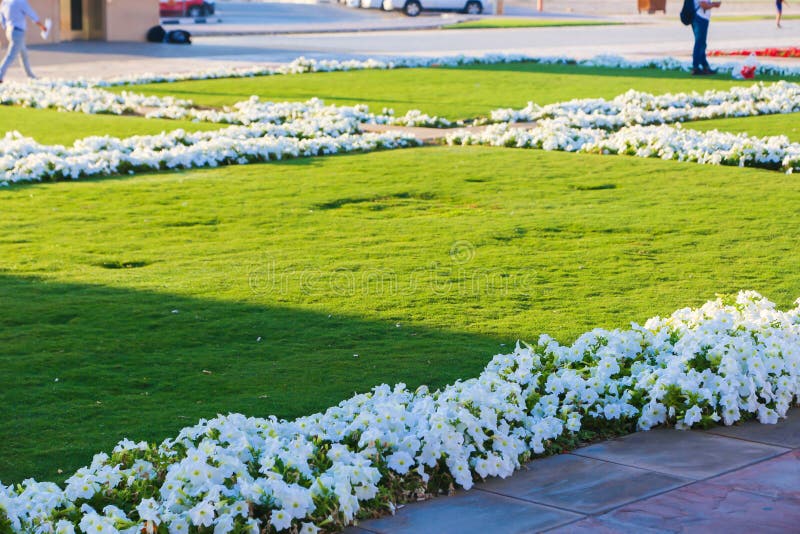 Grand Mosque editorial photo. Image of middle, architecture - 99043381