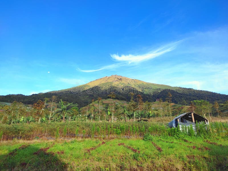 The Grand Mountain Sumbing stock image. Image of agriculture - 271879687