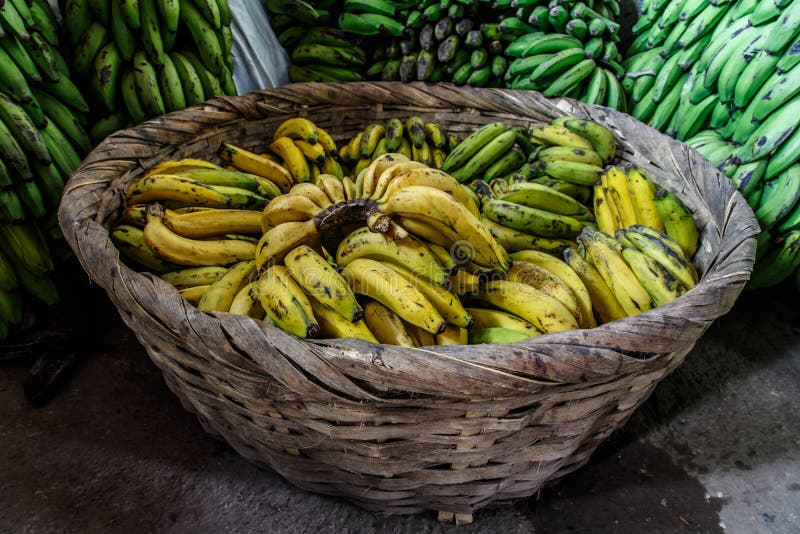 Bananes dans le panier photo stock. Image du fruit, blanc - 31337072