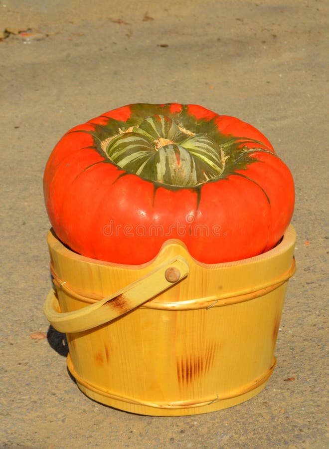 Grand potiron dans un seau photo stock. Image du santé - 33494676