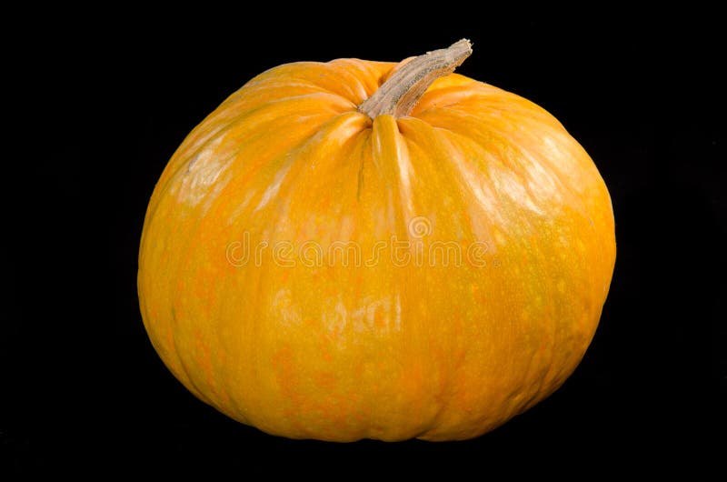 Grand Potiron Jaune D'isolement Sur Le Noir Image stock - Image du ...