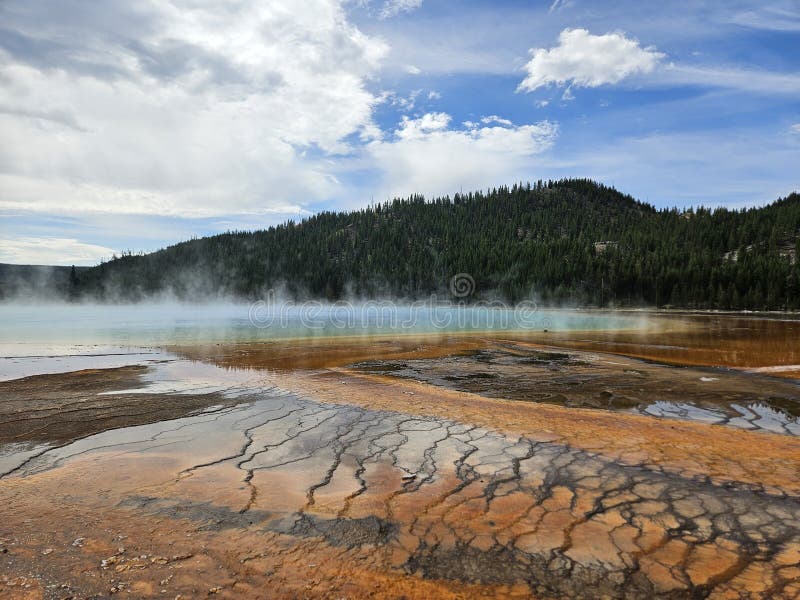 Ground view railroad stock photo. Image of background - 110691782
