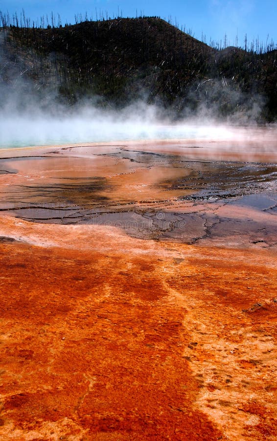 Grand Prismatic Hot Spring Mud Flats Stock Photo - Image of blue ...