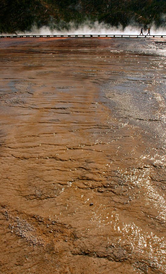 Grand Prismatic Hot Spring Mud Flats with Boardwalk Stock Image - Image ...