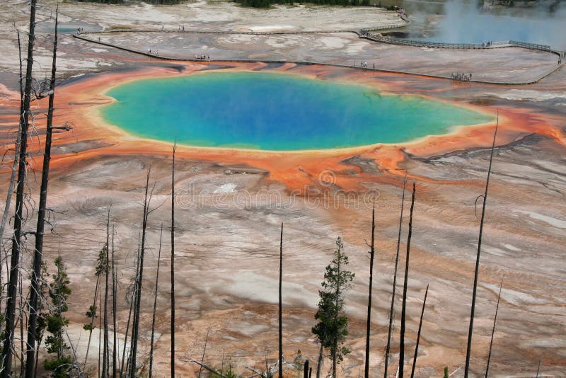 Grand Prismatic Spring stock photo. Image of spring, national - 4856426