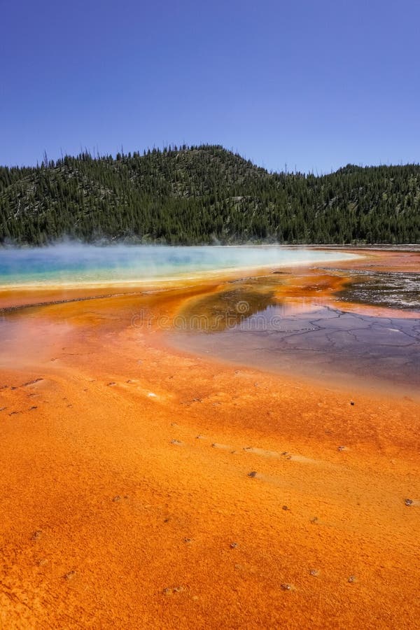 Grand Prismatic Spring, Yellowstone National Park Stock Image - Image ...